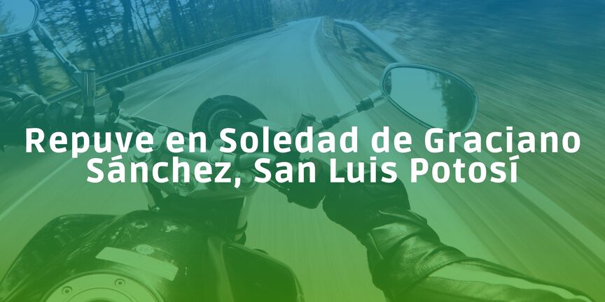 Consulta el Repuve en Soledad de Graciano Sánchez, San Luis Potosí con ...